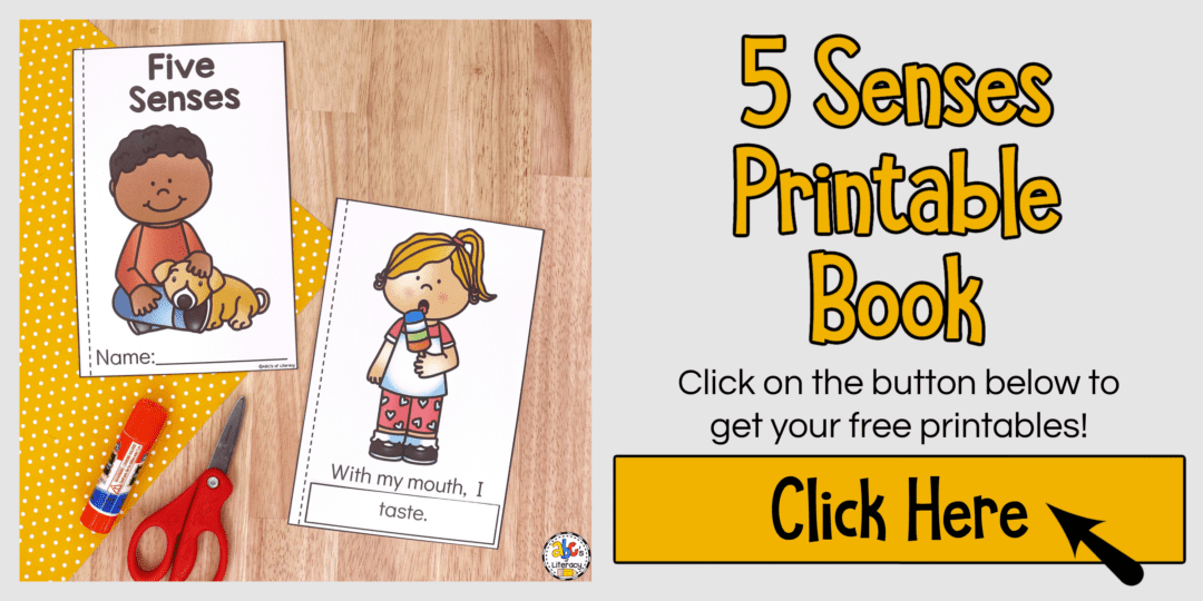 5 Senses Book - ABCs of Literacy