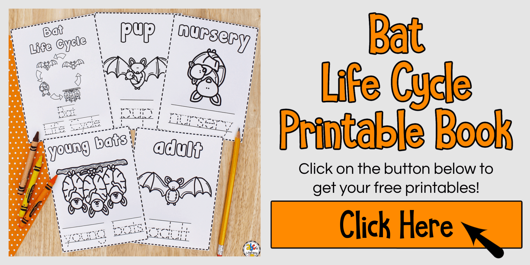BatLifeCycleBook - ABCs of Literacy