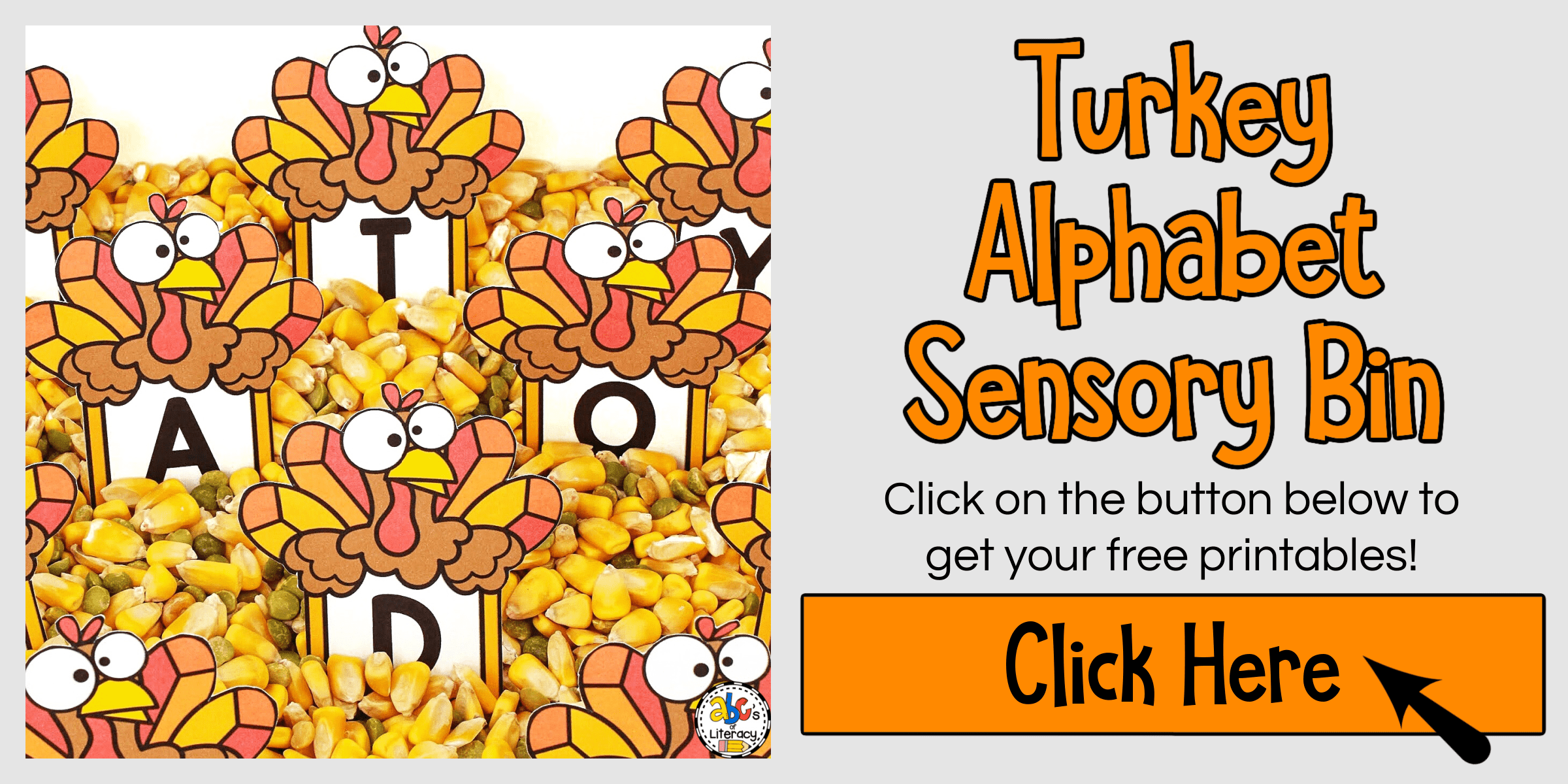 Turkey Alphabet Sensory Bin - ABCs of Literacy